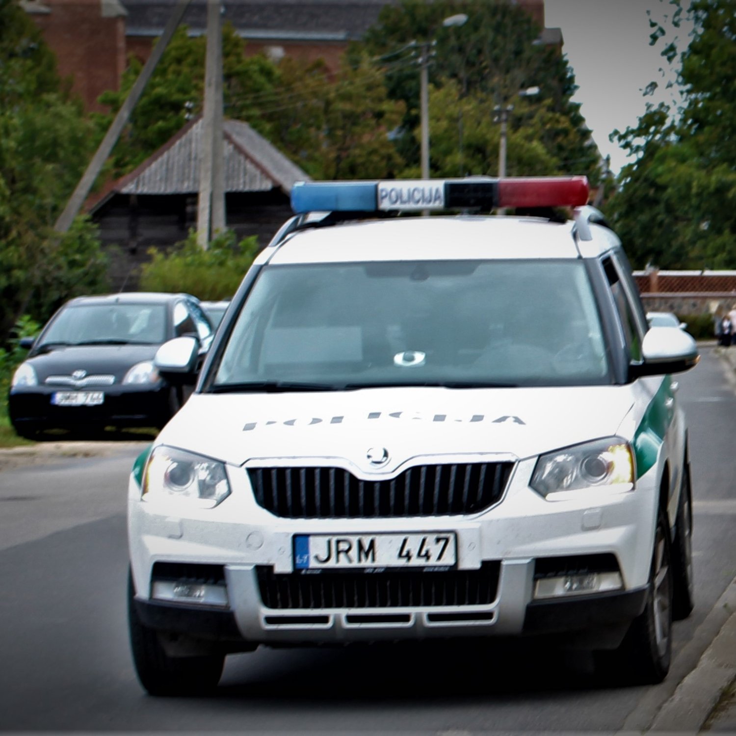 Rokiskiosirena.lt - Pavogtas metalas