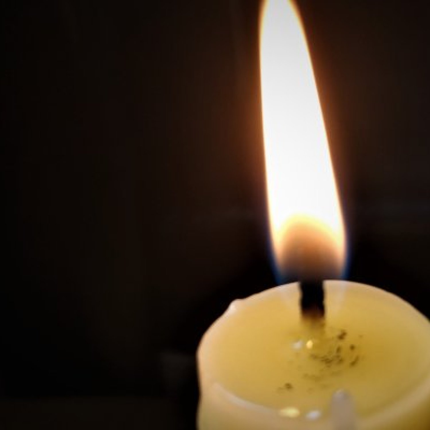 Rokiskiosirena.lt - Rastas miręs