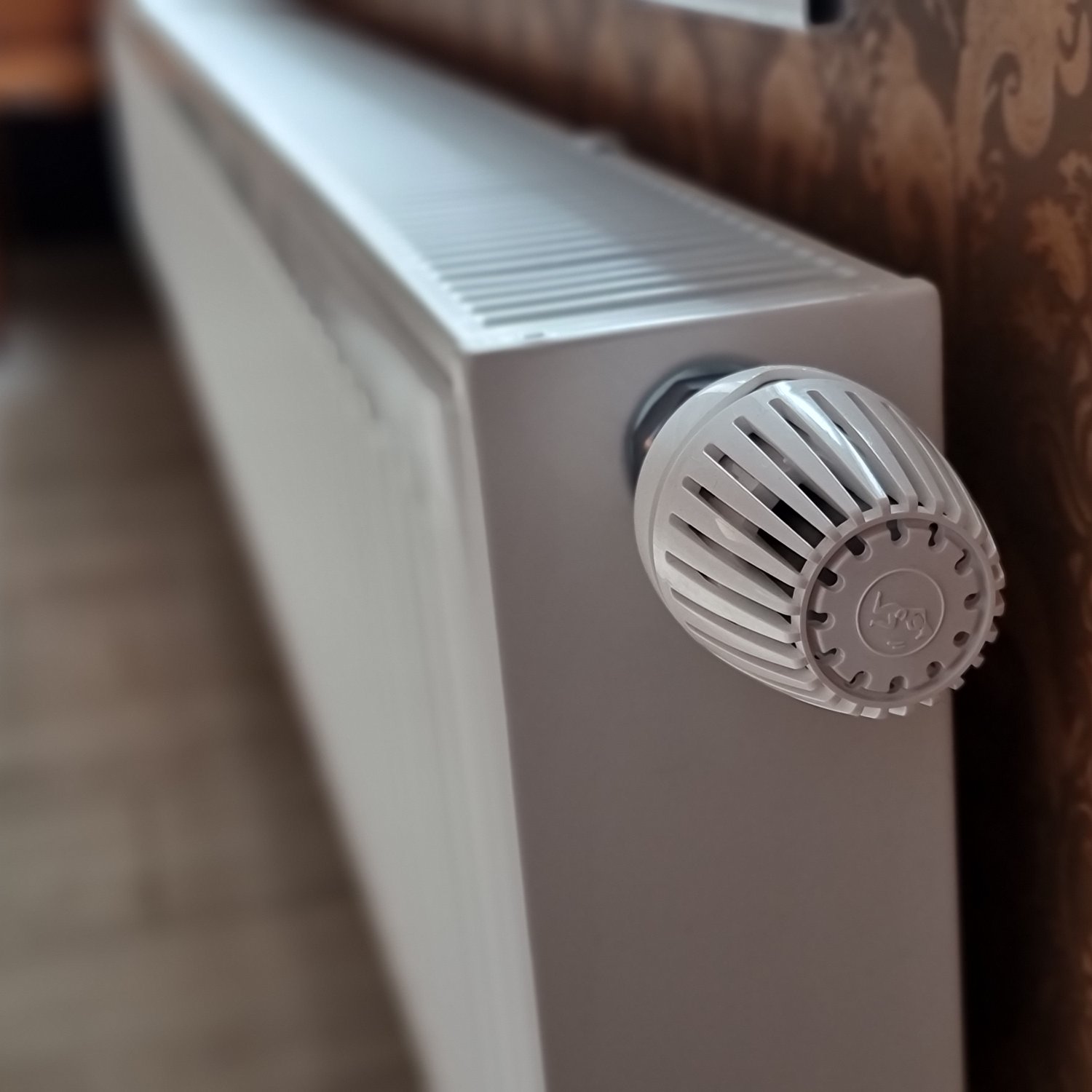 Rokiskiosirena.lt - Rajone prasideda šildymo sezonas