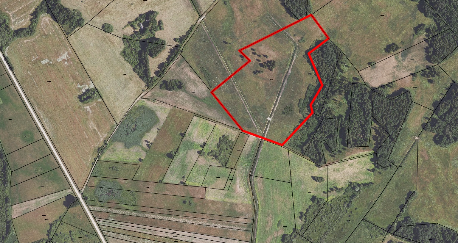 Rokiskiosirena.lt - Rokiškio raj., Obelių sen., Šileikių k. 8,0872 ha